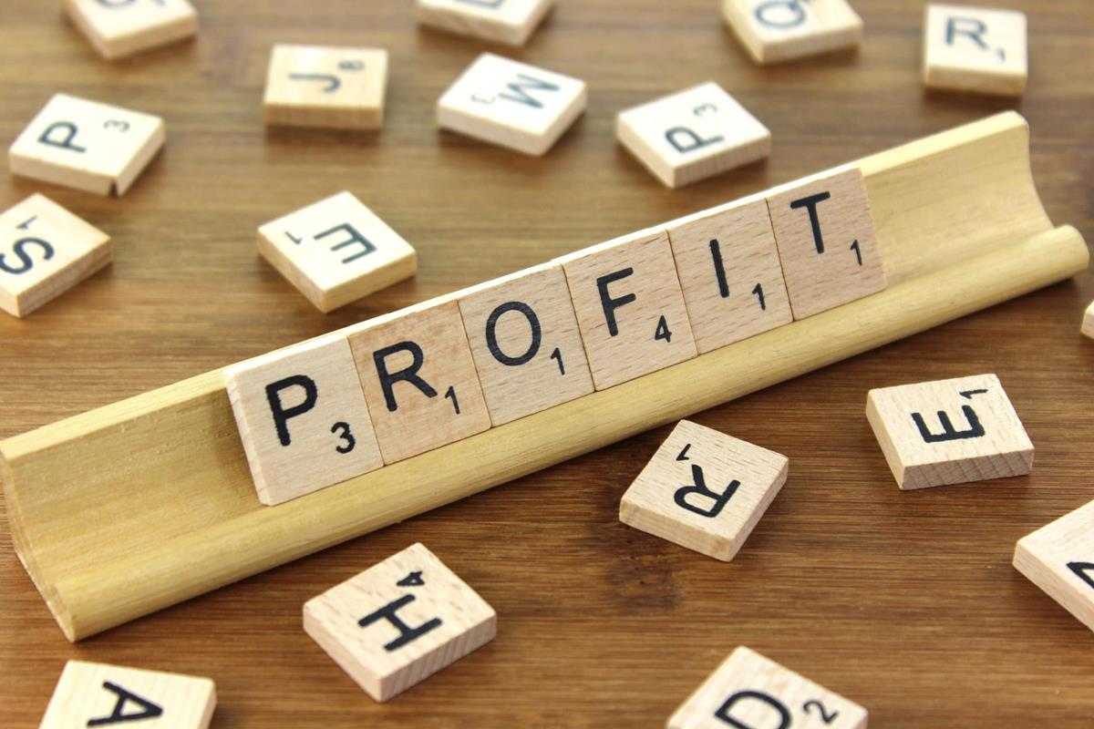 Getting more Profit out of your rating plan! - Predictive Analytics LLC